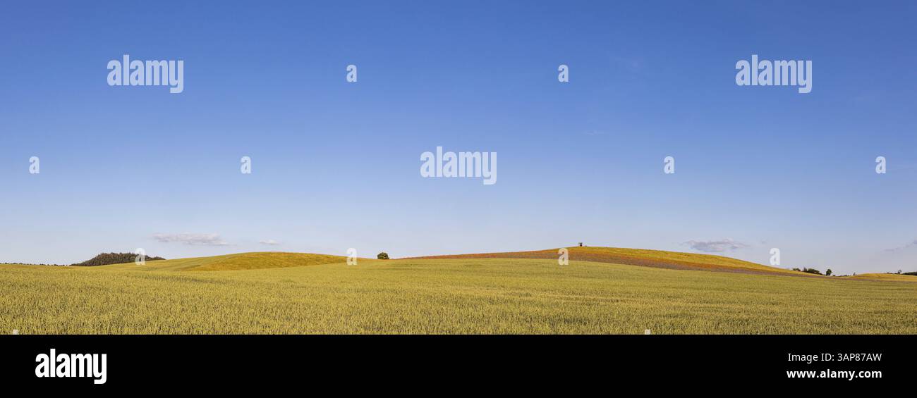 Panorama wide fields Wisen summer meadows Stock Photo - Alamy