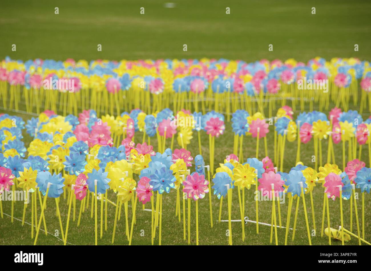 Yellow, blue and red pinwheels on a meadow, Osaka, Japan, Asia Stock ...