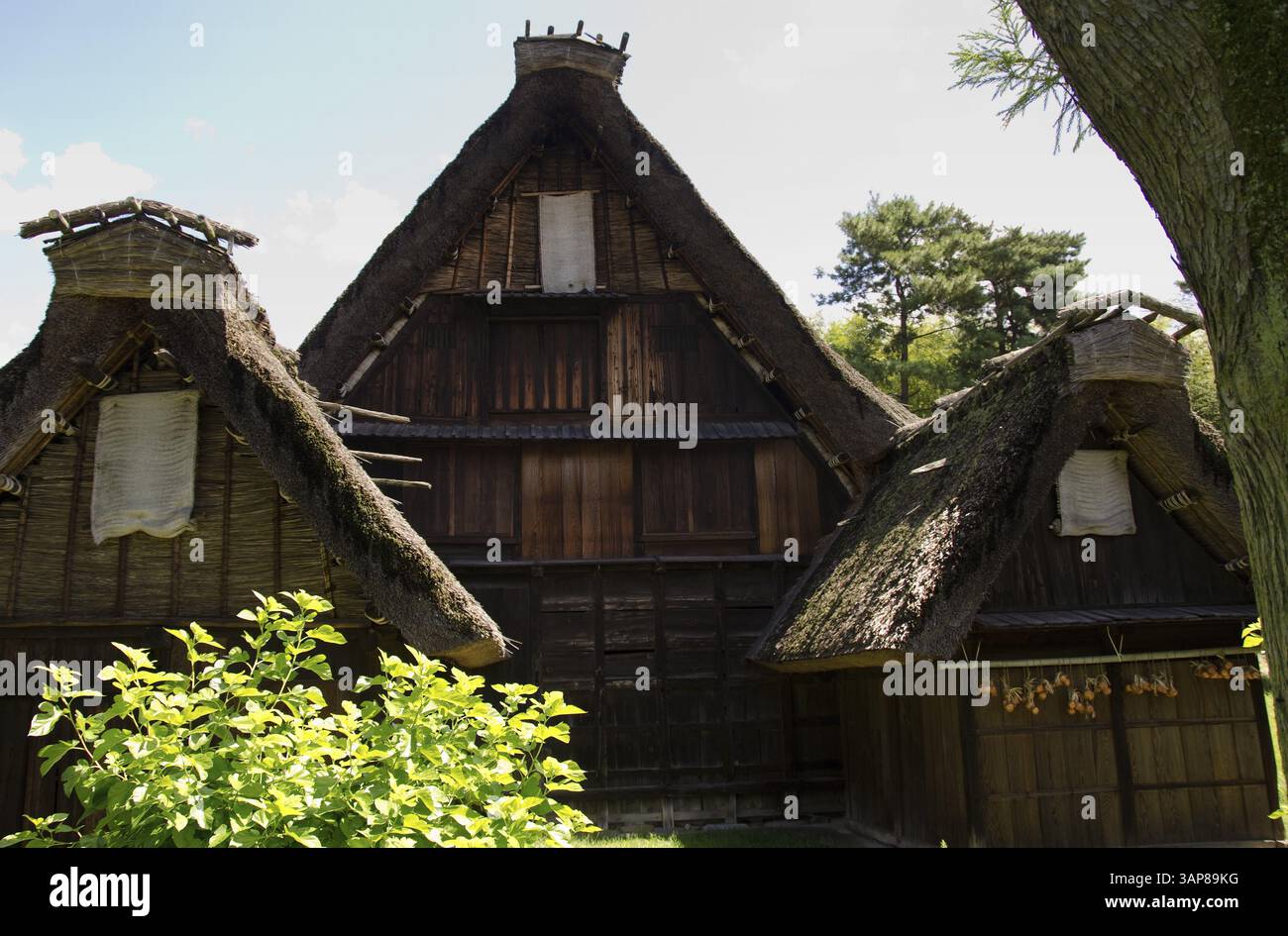 Traditional japanese farmhouse from Shirakawago, Japan as exhibited in ...
