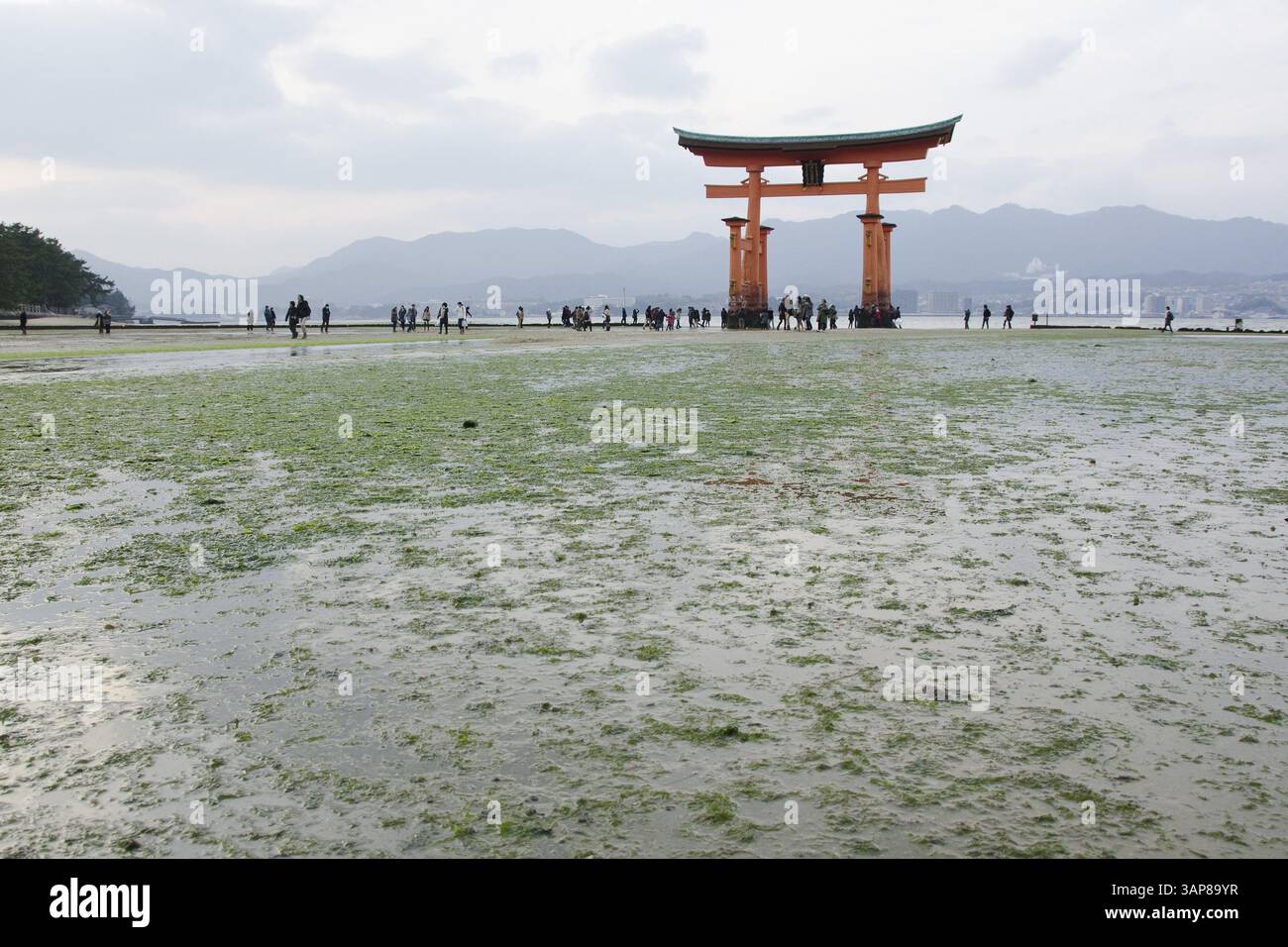 Torii gate of Itsukushima Shrine on Miyajima Island, near Hiroshima ...
