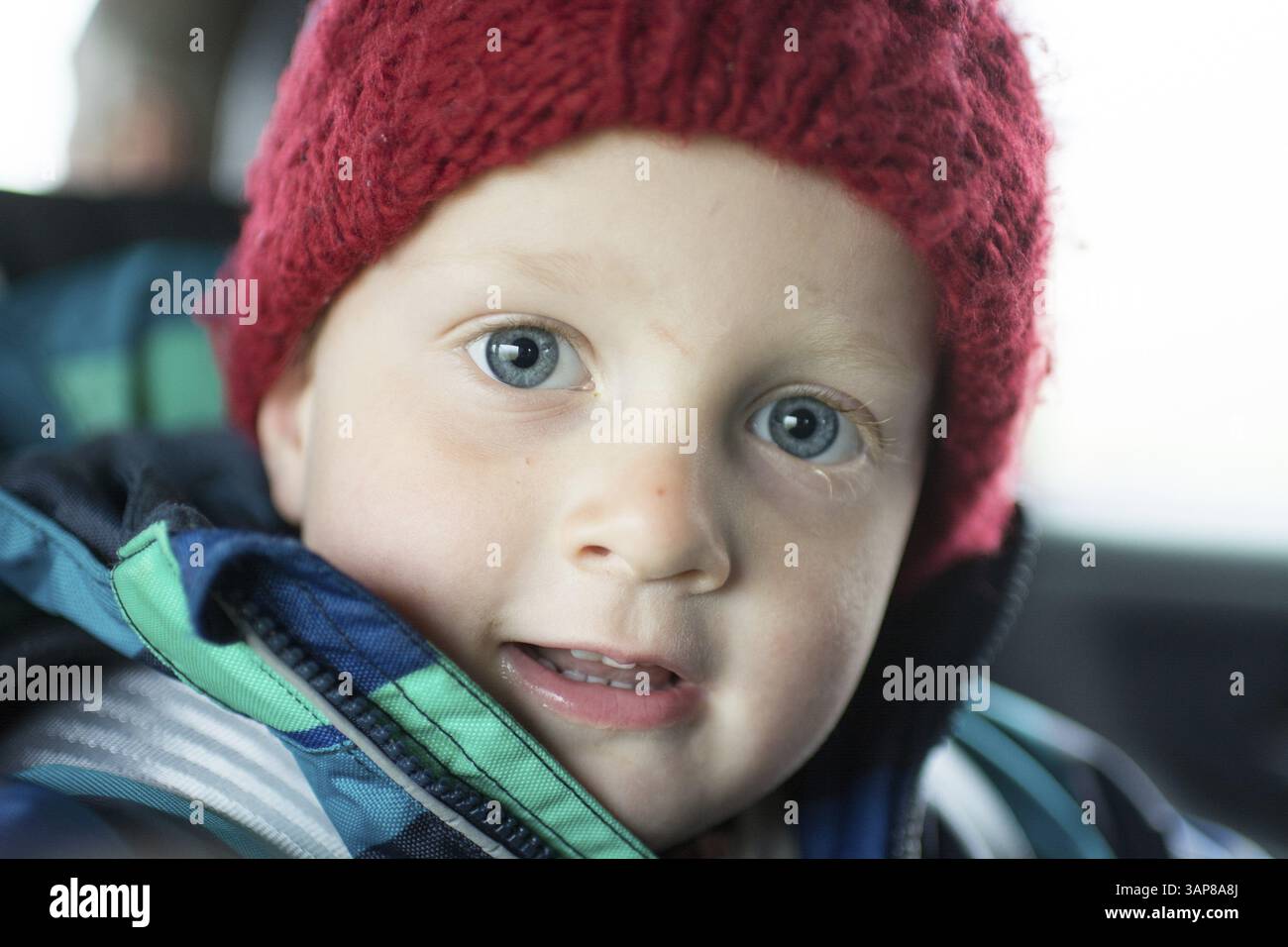 Portrait of a 3 year old boy in winter looking at the camera, Sandvik ...
