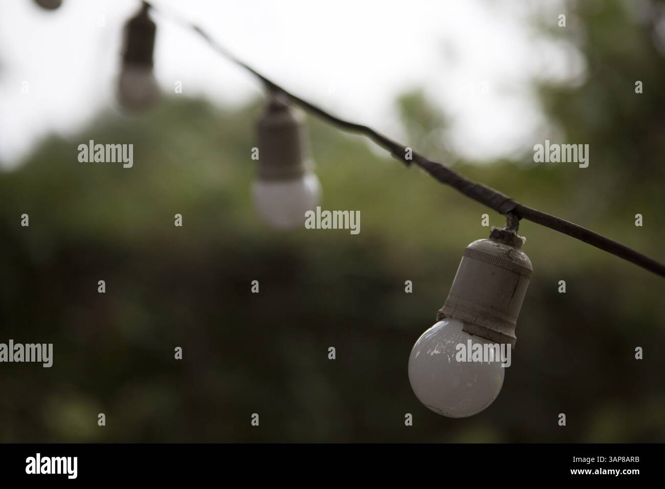Light bulb chain for the garden in Buenos Aires, Argentina 2016 Stock ...