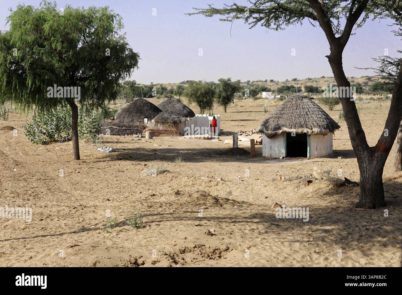 Jodhpur, Rajasthan, North India, Asia, Huts with thatched roofs stand ...