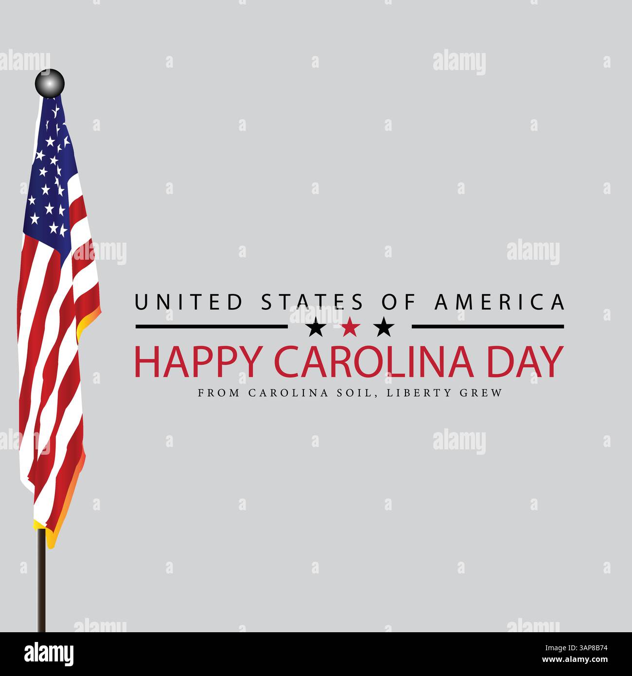 Remembering Carolina Past on June 28th A Day of Celebration Stock ...