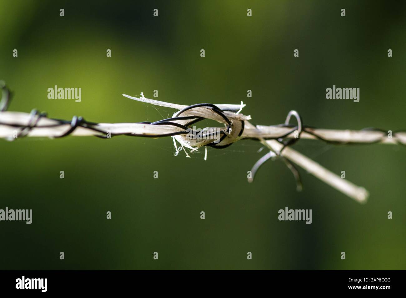 Old wicker wire close hi-res stock photography and images - Alamy