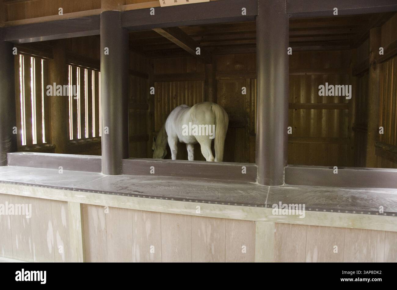 White horse in a building at the Ise Shrine complex in Japan, Ise ...