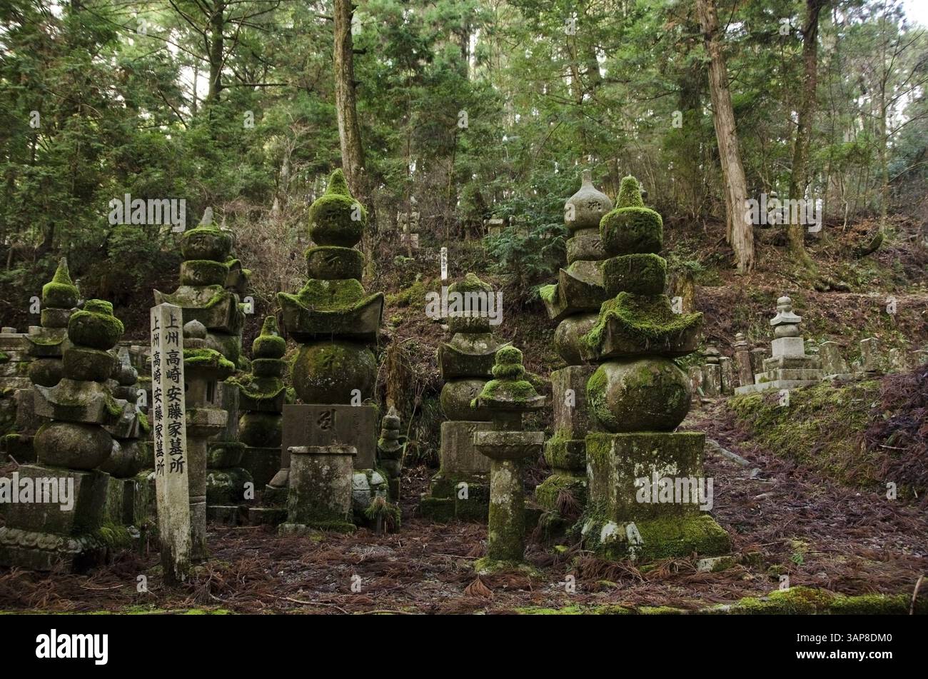 Okunoin cemetery at Mount Koya and Koya-san in Wakayama, Japan. World ...