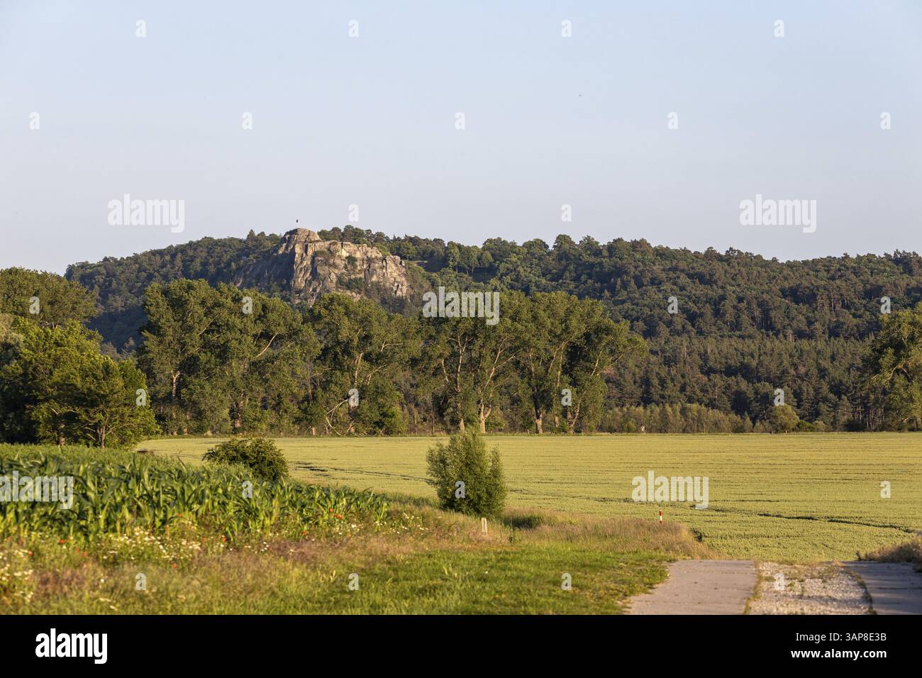 Castles and palaces in the Harz Mountains Regenstein castle ruins near ...