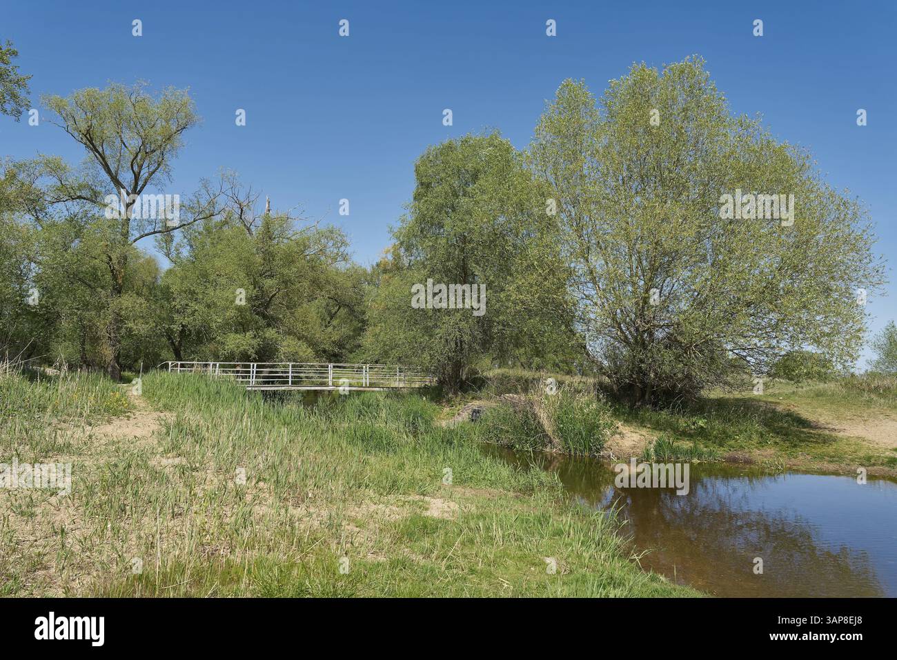 The small river Ehle at the high bridge near the municipality of ...