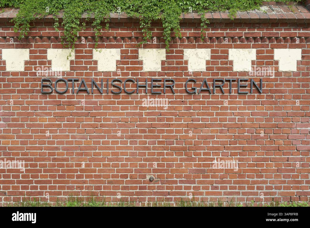 Wall with the lettering Botanic Garden outside the garden at the ...