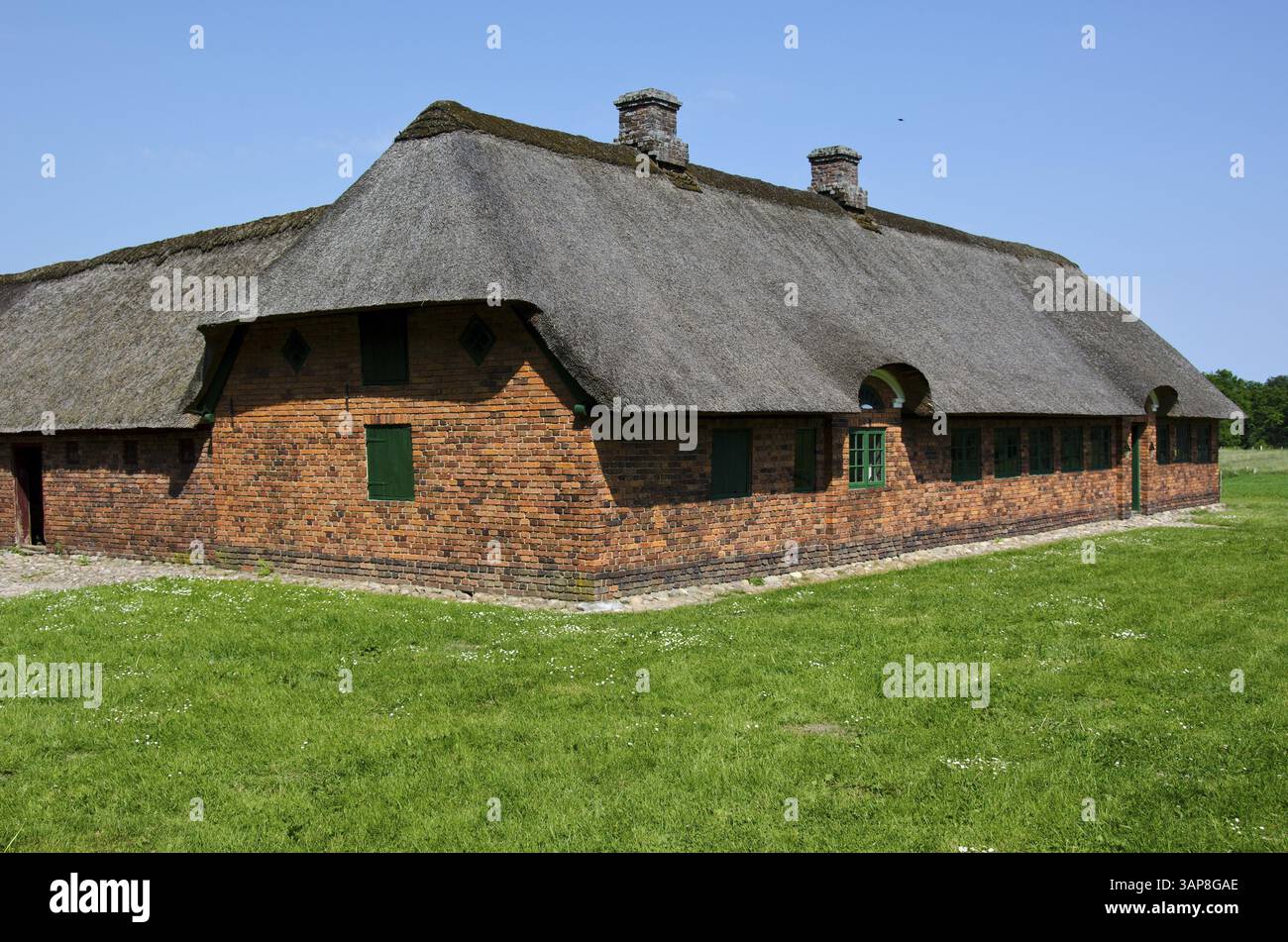 Medieval farm house build of bricks with thatched roof, Denmark, Europe ...