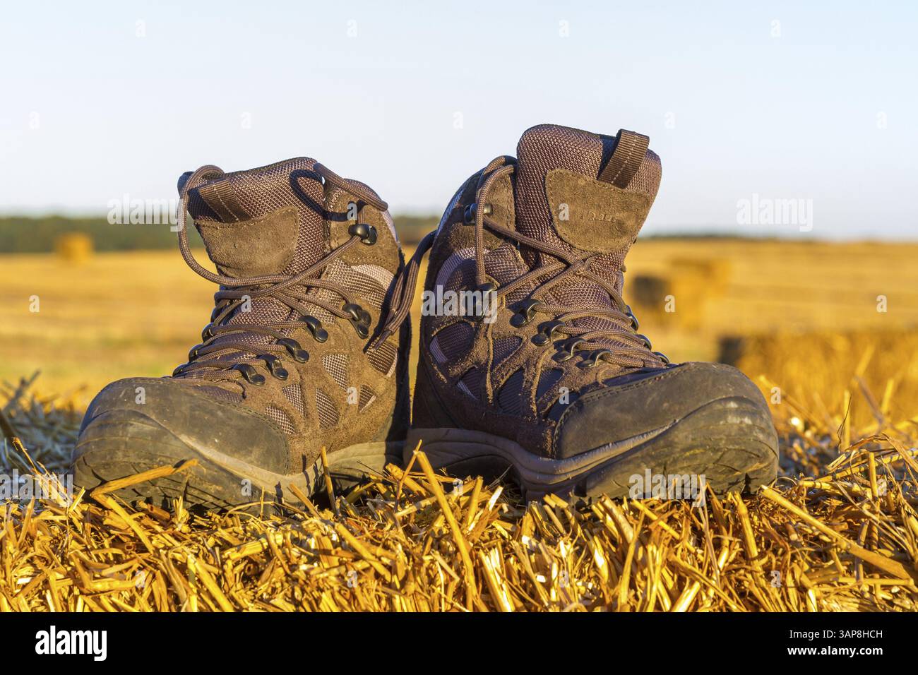 Hiking boots in the evening sun on a field Stock Photo - Alamy