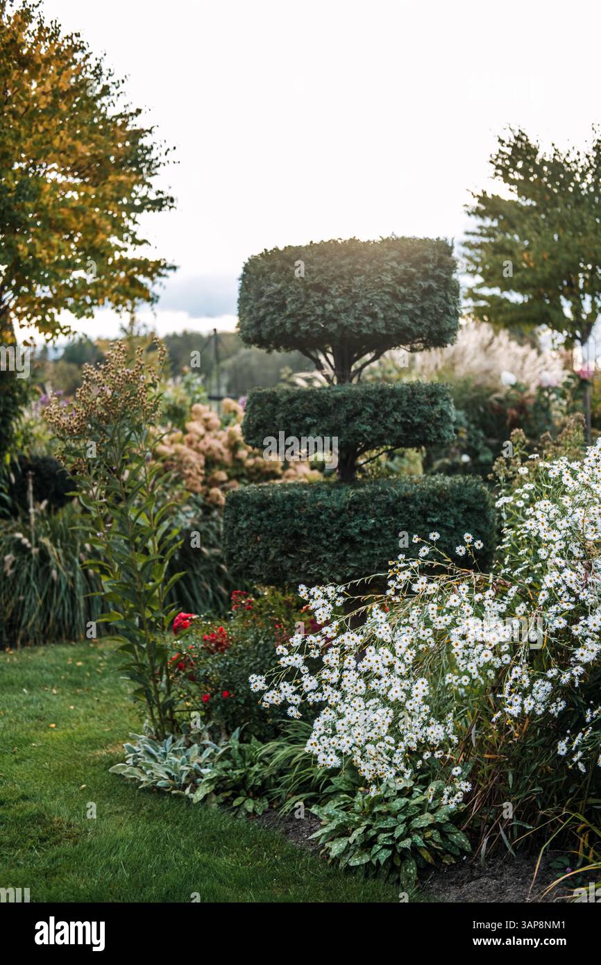 Tiered topiary tree surrounded by wildflowers and ornamental plants in ...