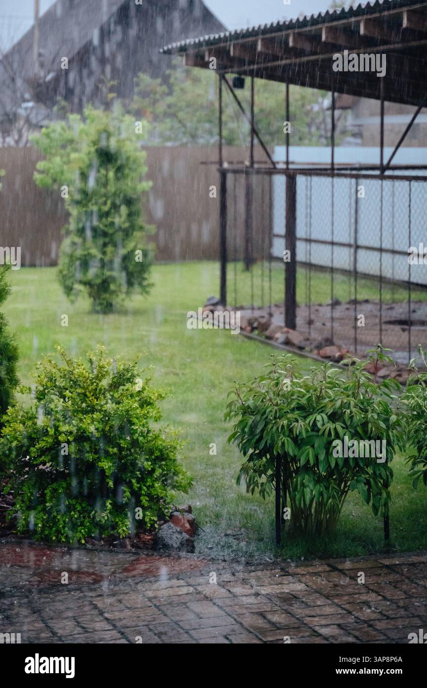 Hail and rain pouring down in the backyard against lush green bushes ...