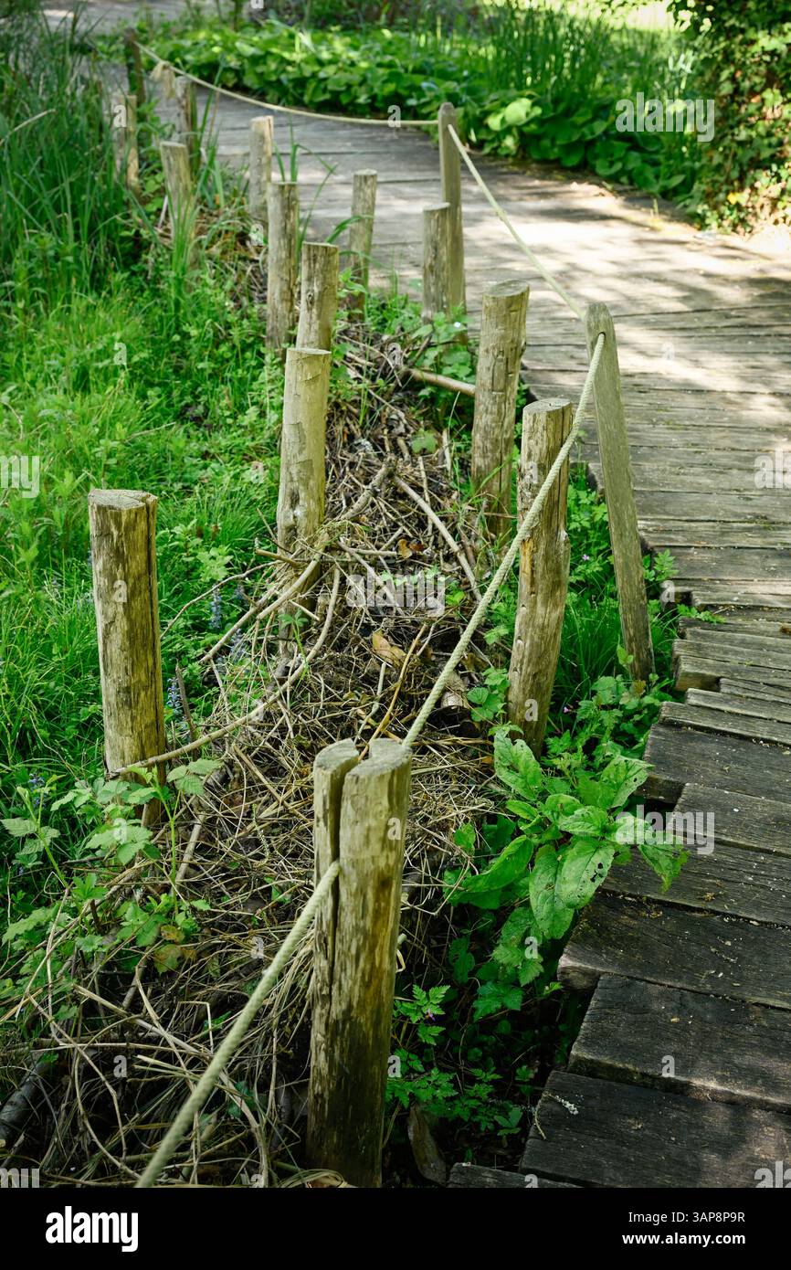 Dry hedge made up of dead branches from the Leonardo da Vinci park, at ...