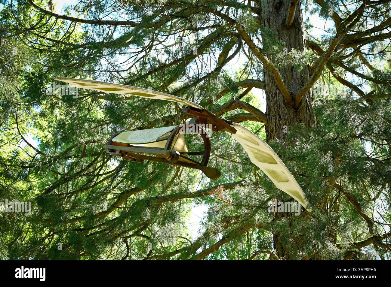 Reconstruction of a flying machine designed by Leonardo da Vinci, in ...