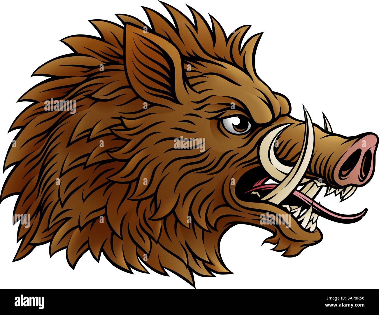Boar Head Woodcut Etching Vintage Style Stock Vector Image & Art - Alamy