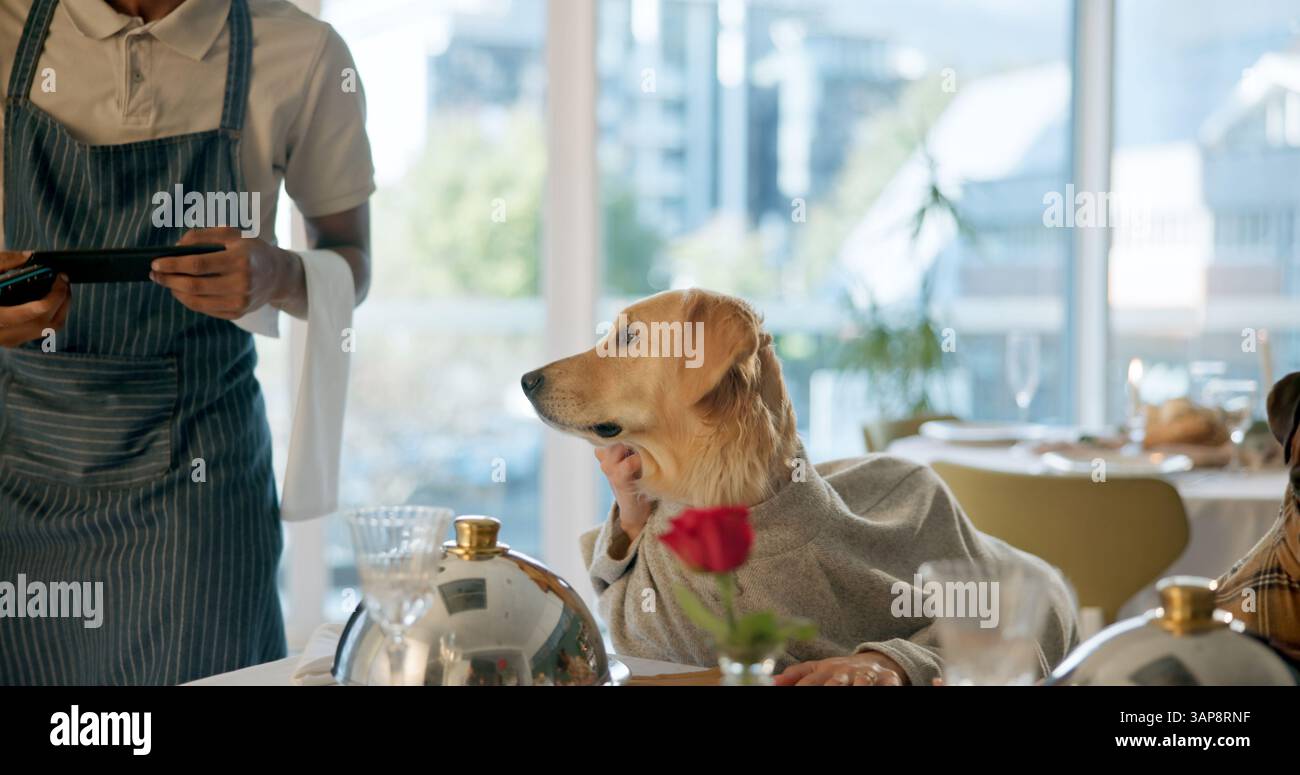 Restaurant, food and dog at table for lunch, dinner and waiting for ...