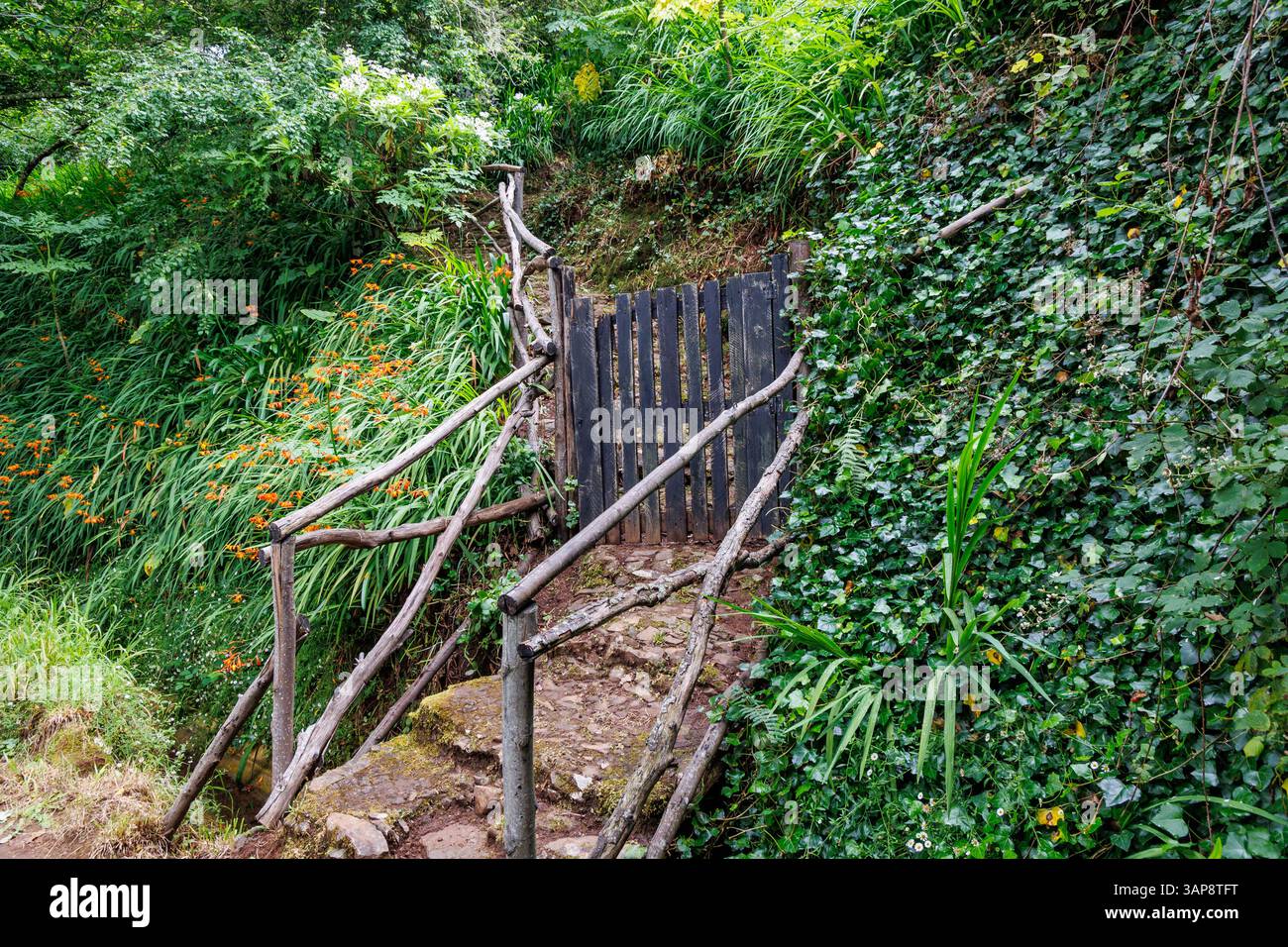 Stone steps next to footpath along irrigation channel called levada in ...