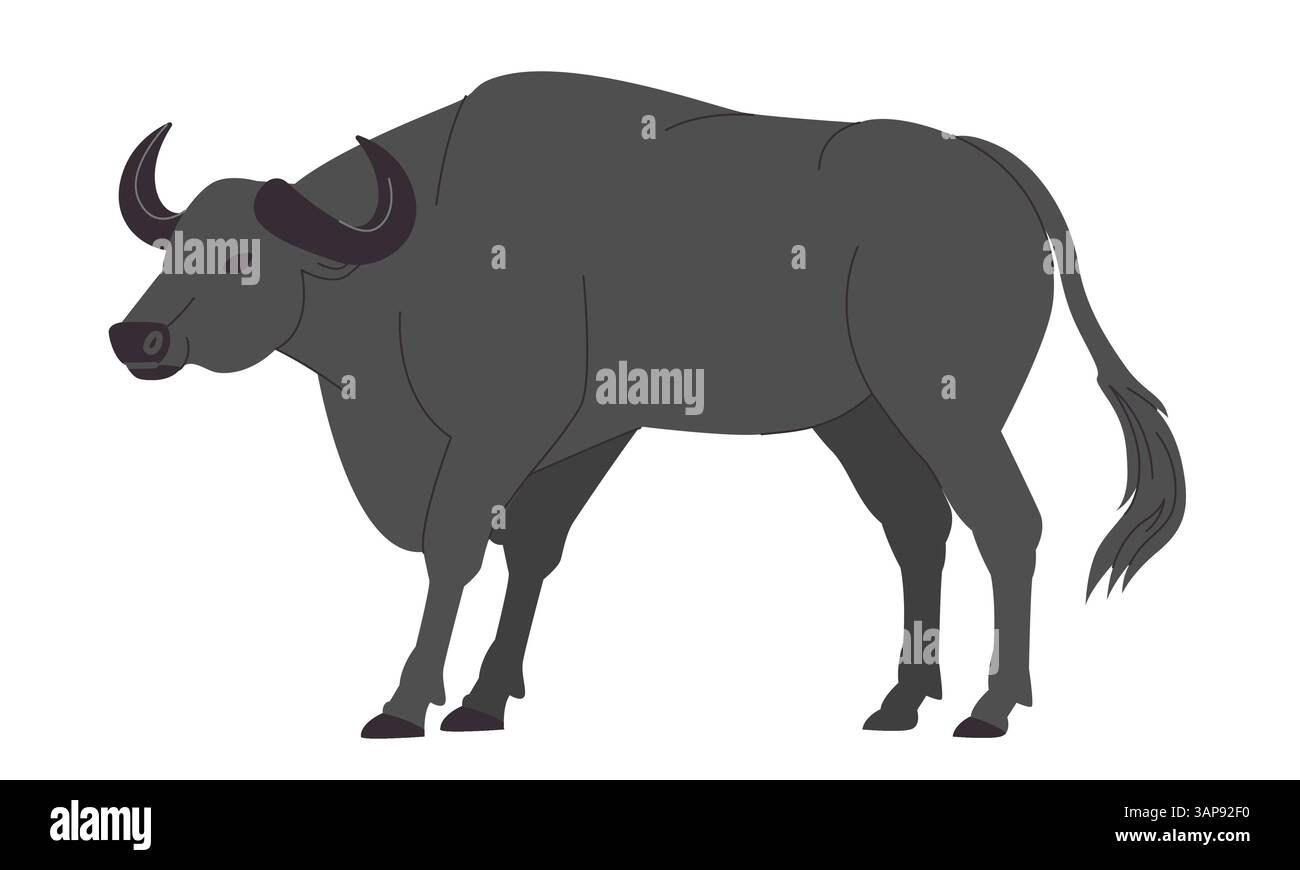 Buffalo ox bull mammal cattle drawing illustration standing livestock ...