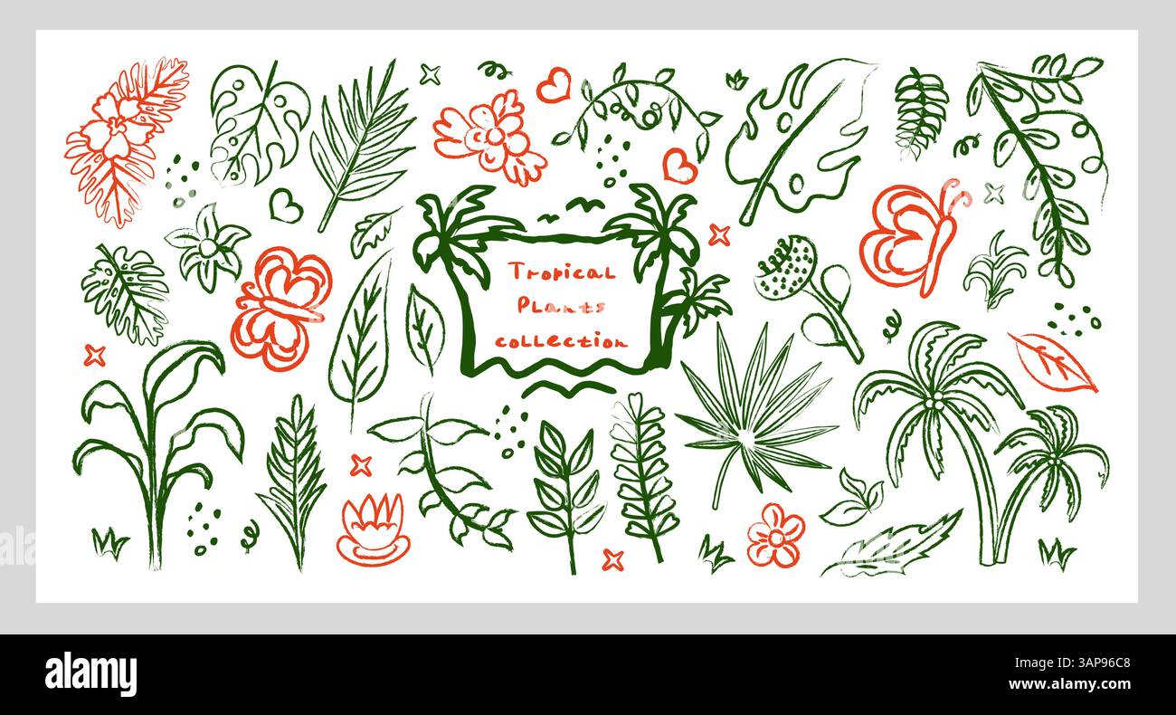 Tropical plant hand drawn line art chalk and charcoal vector set jungle ...