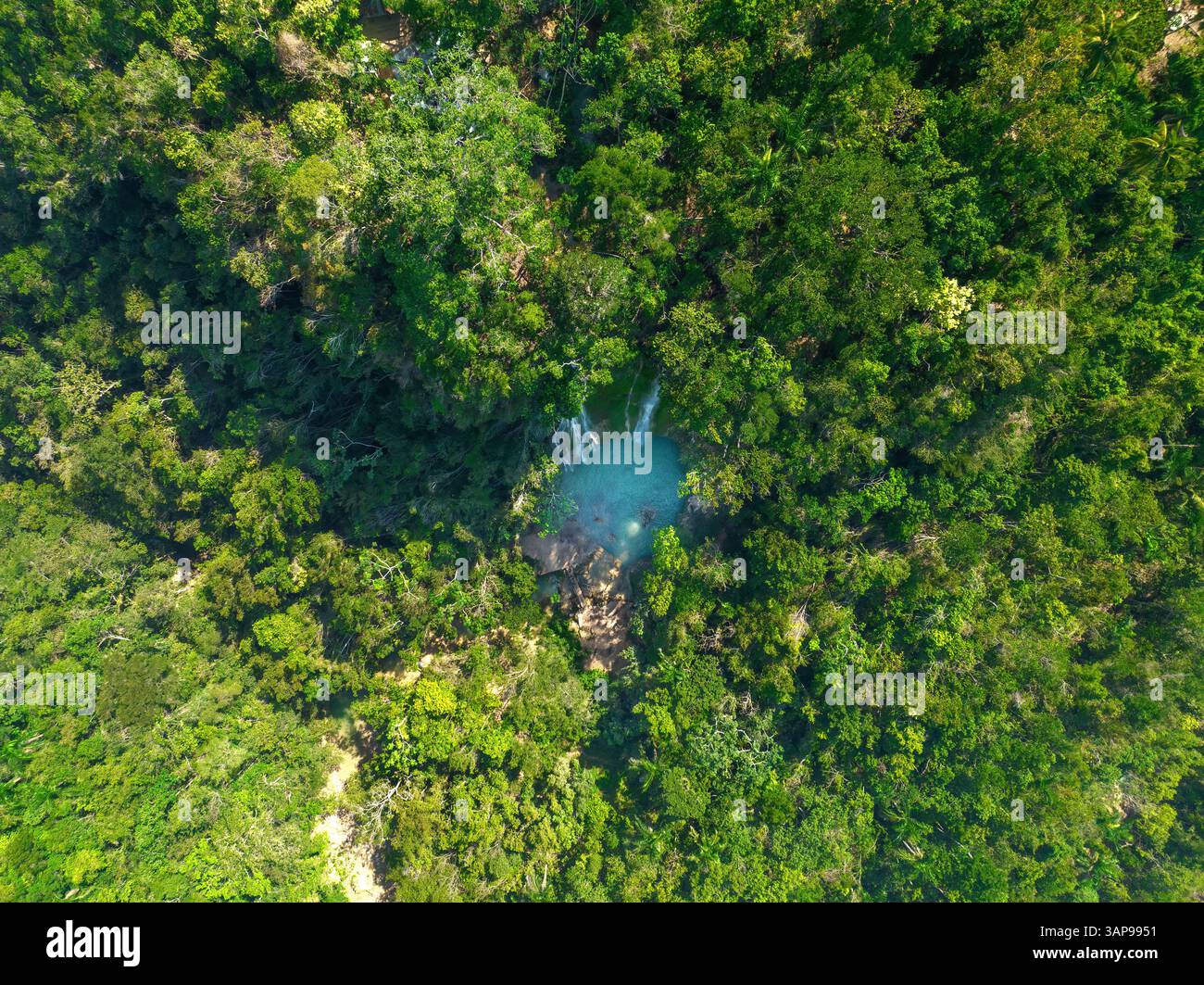 Aerial view of Tropical rainforest and waterfall in the mountan El ...