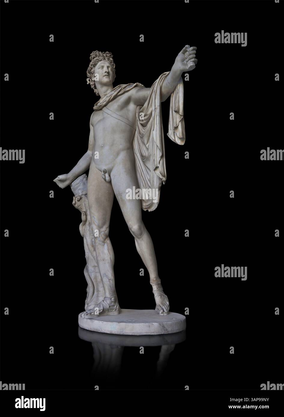 Roman statue known as the Belvedere Apollo. Mid 2nd Cent AD Roman copy ...
