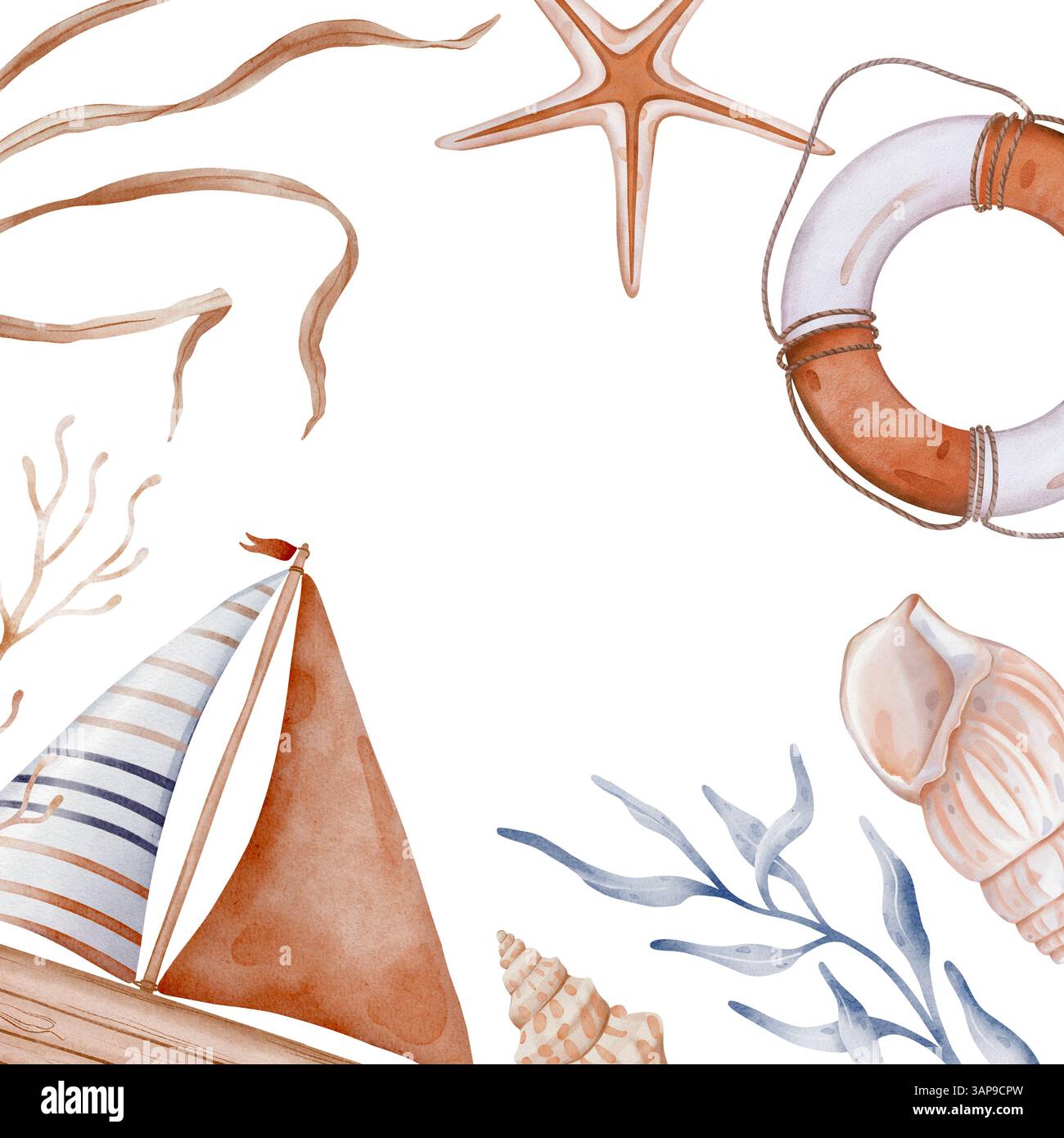 Underwater square frame with Corals, Seaweeds and Seashells. Hand drawn ...