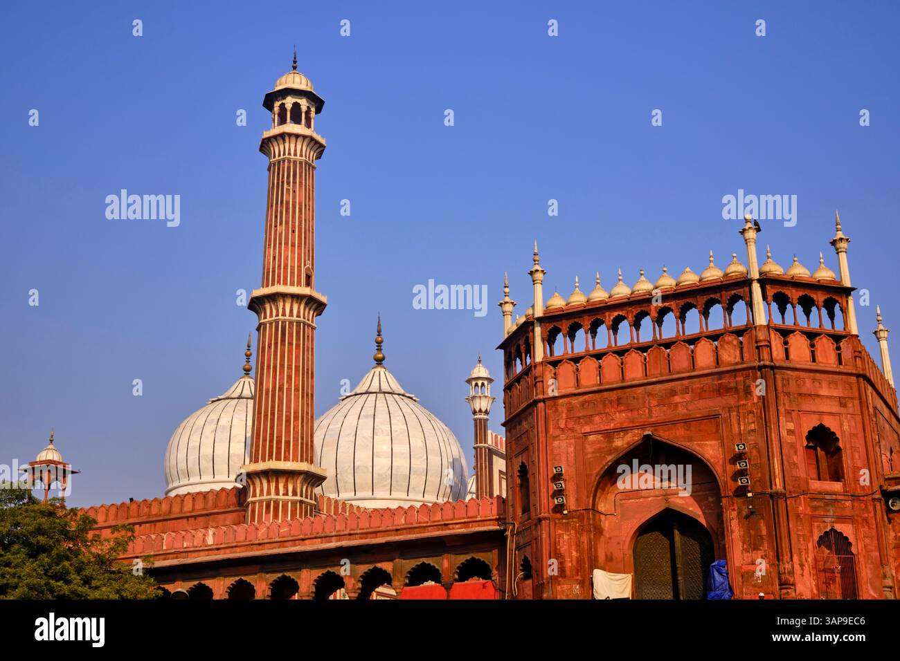 India, Delhi, Old Delhi, Jama Masjid mosque, built by the Mughal ...