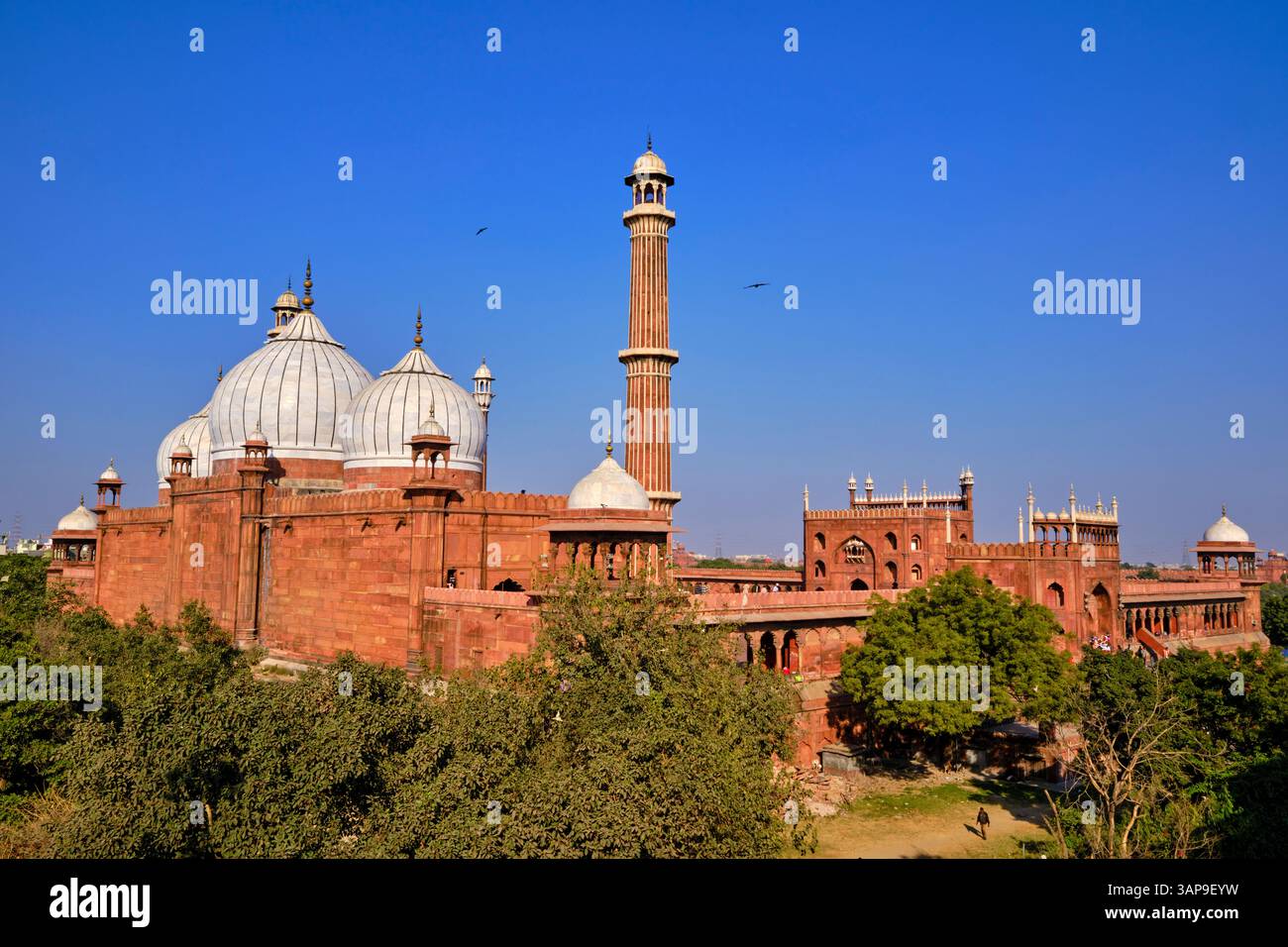 India, Delhi, Old Delhi, Jama Masjid mosque, built by the Mughal ...