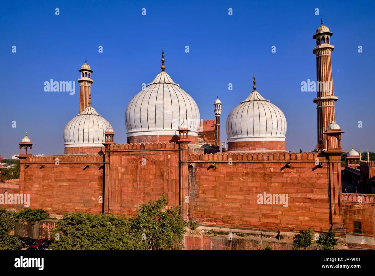 India, Delhi, Old Delhi, Jama Masjid mosque, built by the Mughal ...