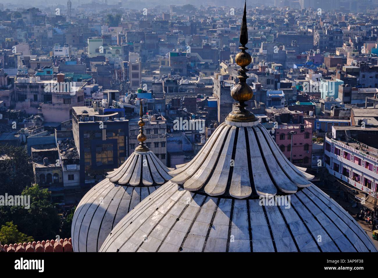 India, Delhi, Old Delhi, Jama Masjid mosque, built by the Mughal ...