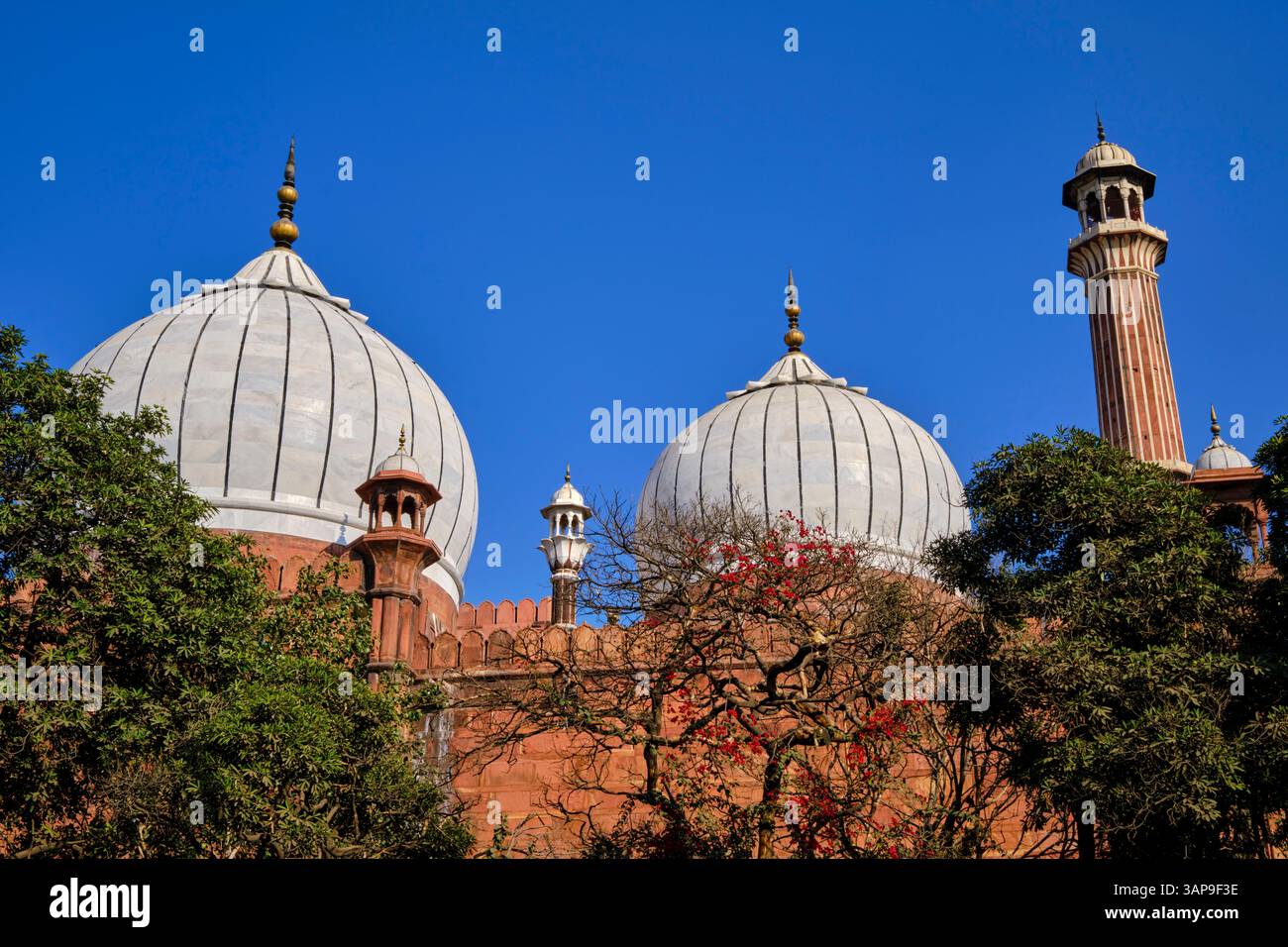 India, Delhi, Old Delhi, Jama Masjid mosque, built by the Mughal ...