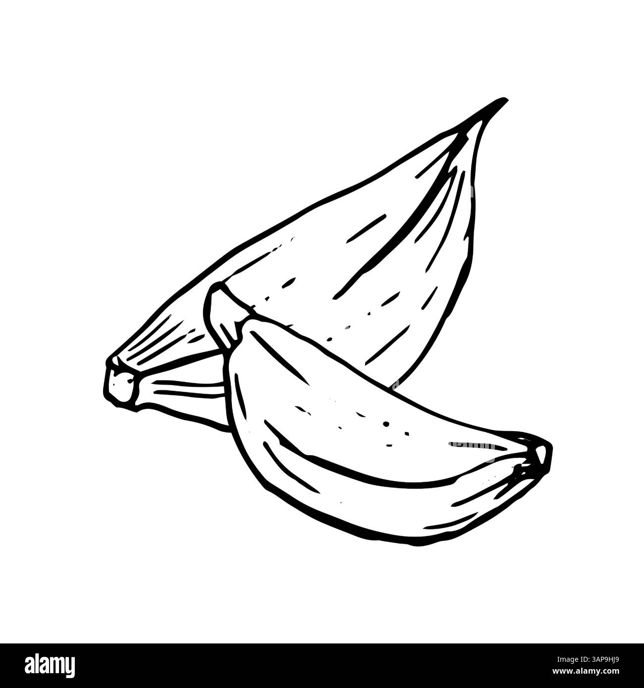 Spicy root Black and White Stock Photos & Images - Alamy