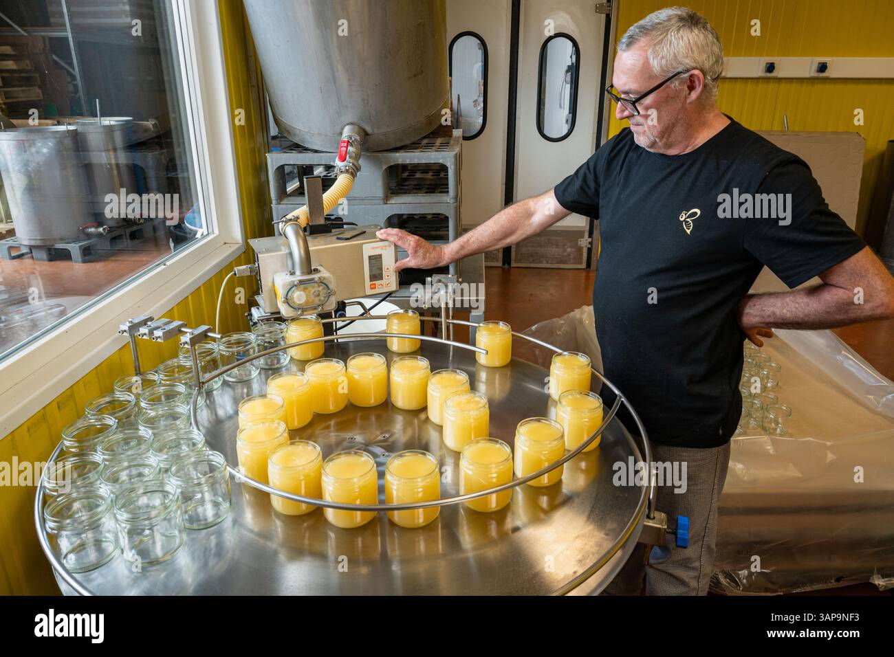 Beekeeping (apiculture): harvesting and potting honey on a bee farm ...