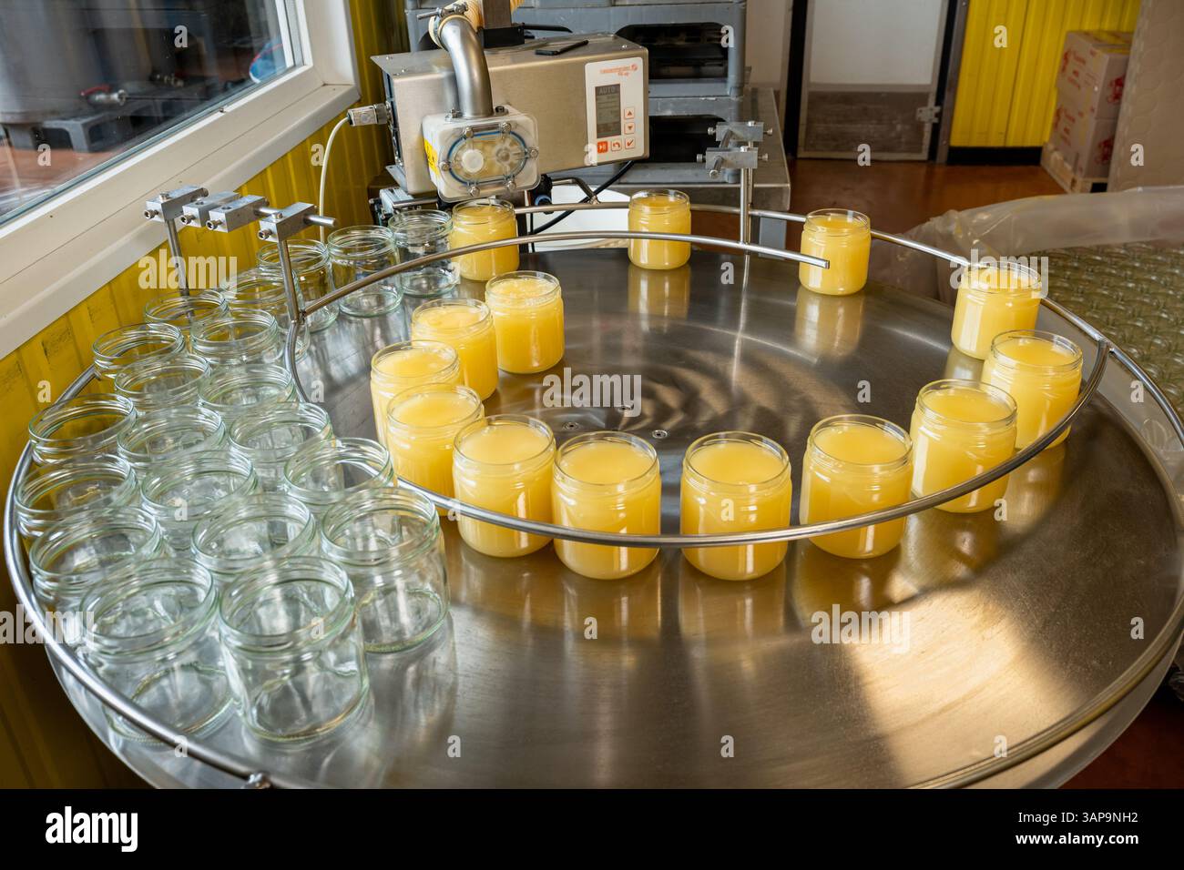 Beekeeping (apiculture): harvesting and potting honey on a bee farm ...