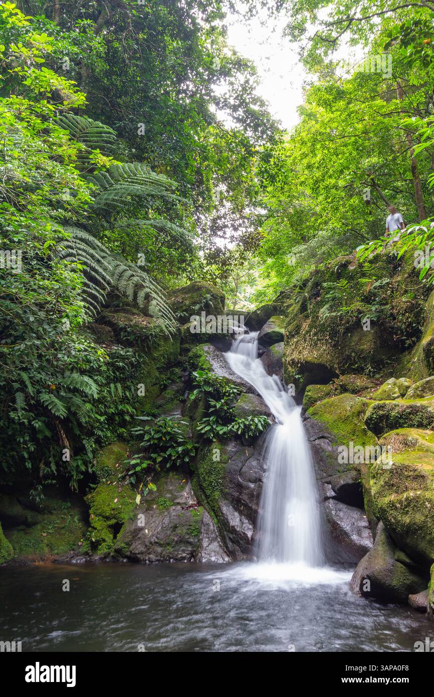 A hidden waterfall surrounded by lush greenery in Pili, Camarines Sur ...