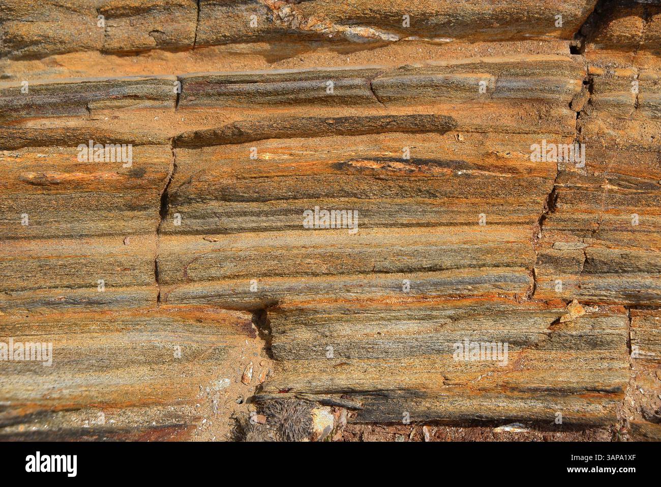 Sedimentary rocks stratified between sandstone layers Stock Photo - Alamy