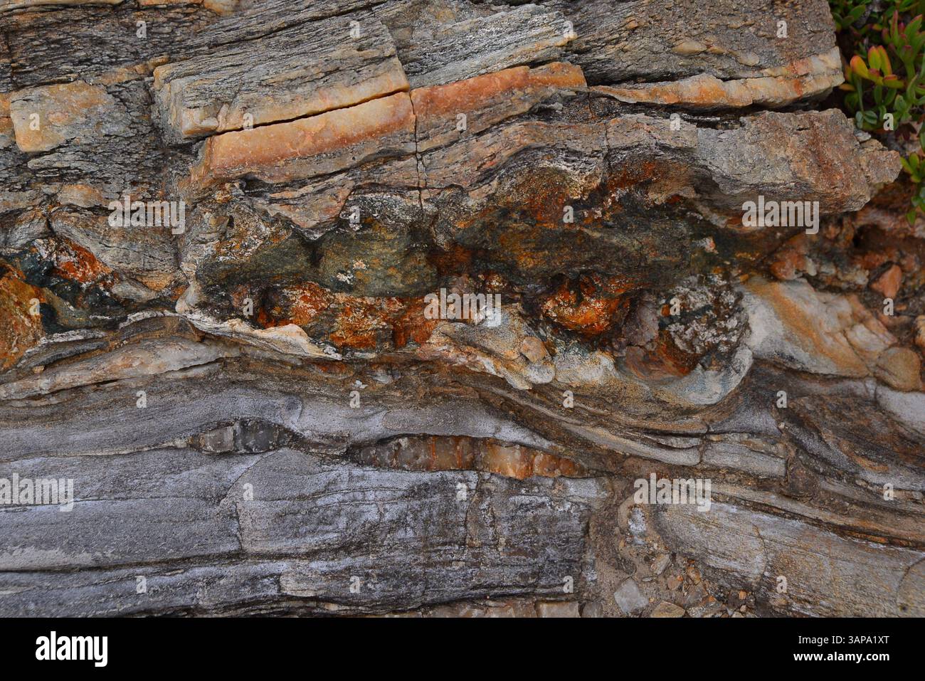 Stratified sedimentary rock with large interne formation resembling a ...