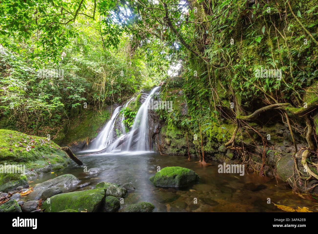 A hidden waterfall surrounded by lush greenery in Pili, Camarines Sur ...