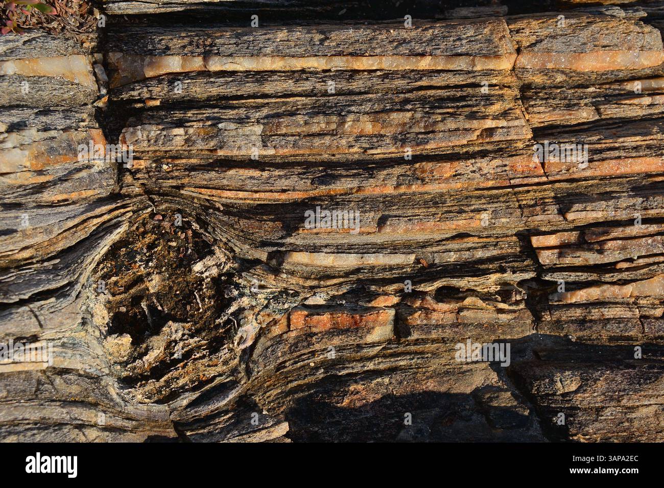 Stratified rock with a formation resembling a prophyroclast Stock Photo ...