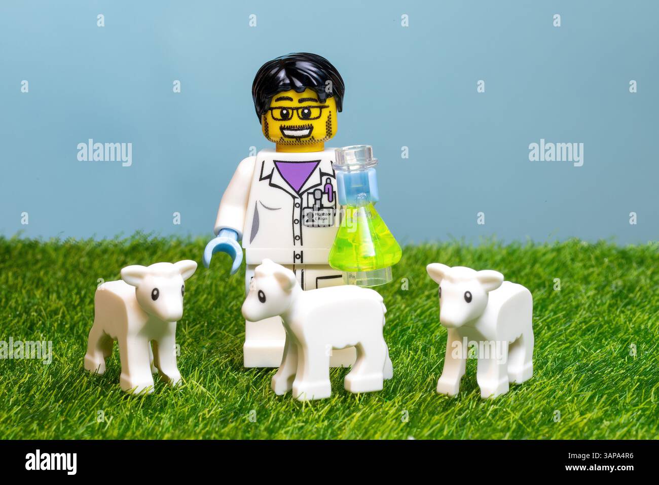 Lego scene of scientist with cloned sheep Stock Photo - Alamy