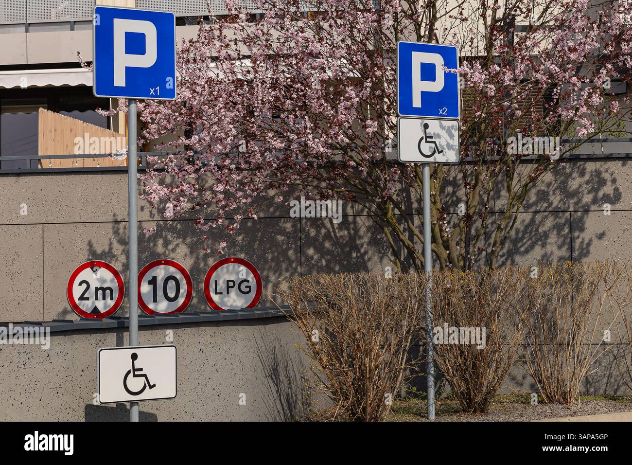 Inclusive urban architecture with designated parking spaces for people ...