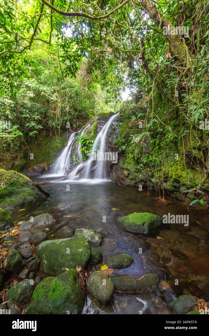 A hidden waterfall surrounded by lush greenery in Pili, Camarines Sur ...