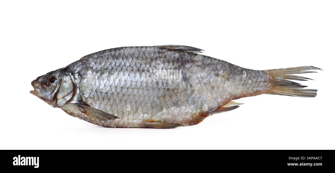 One dried salted roach fish isolated on white Stock Photo - Alamy