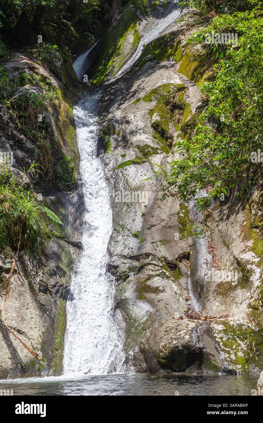 A hidden waterfall surrounded by lush greenery in Pili, Camarines Sur ...