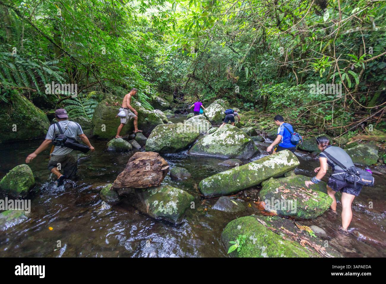 Filipino hikers crossing a shallow stream in a lush forested area in ...