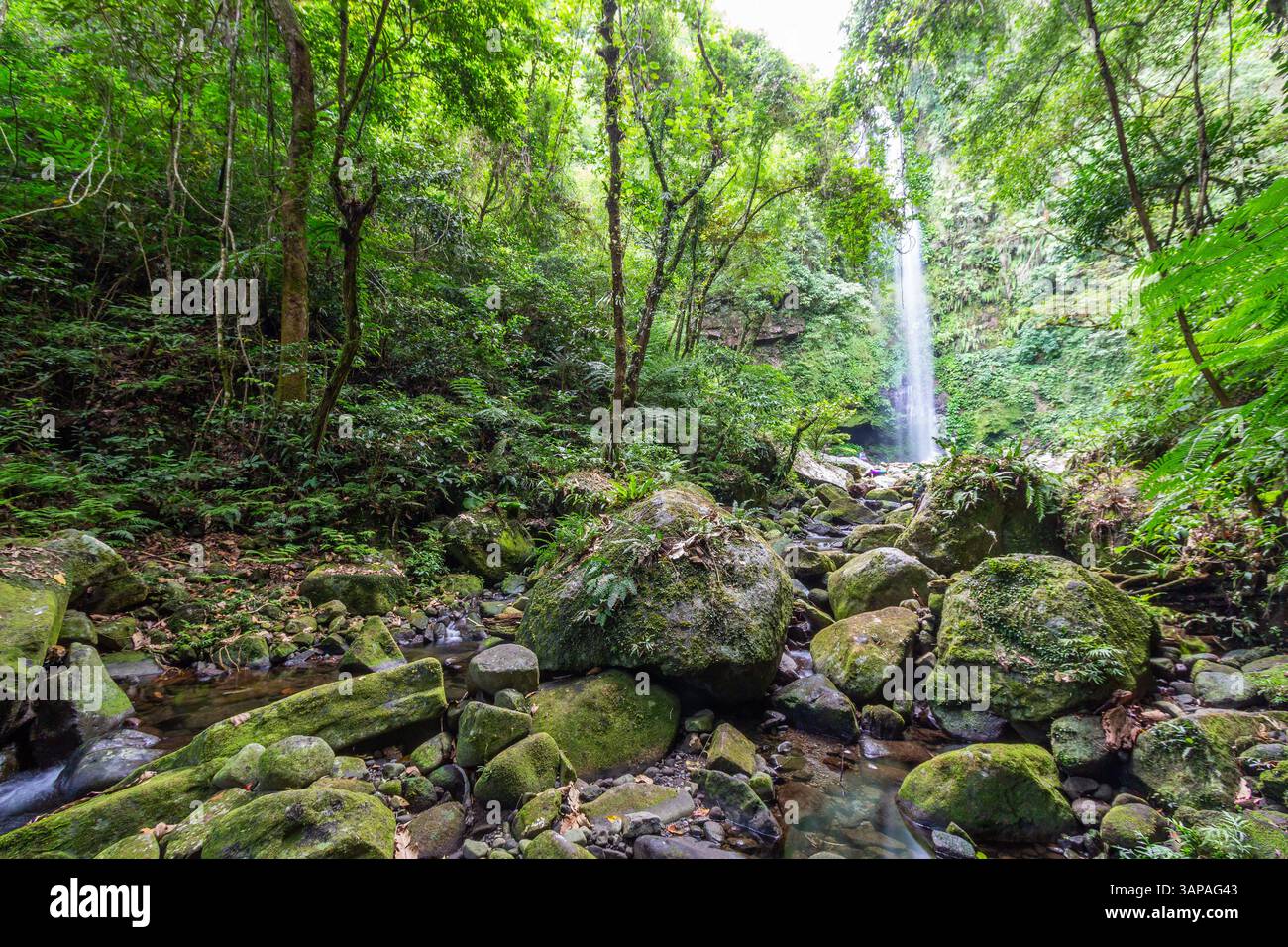 A hidden waterfall surrounded by lush greenery in Pili, Camarines Sur ...