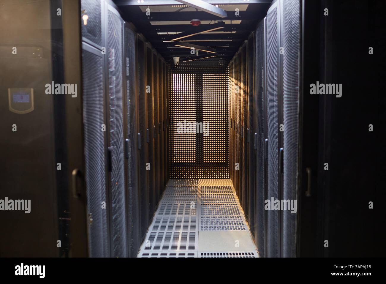 Server room with rows of standing servers illuminated by dim lighting ...