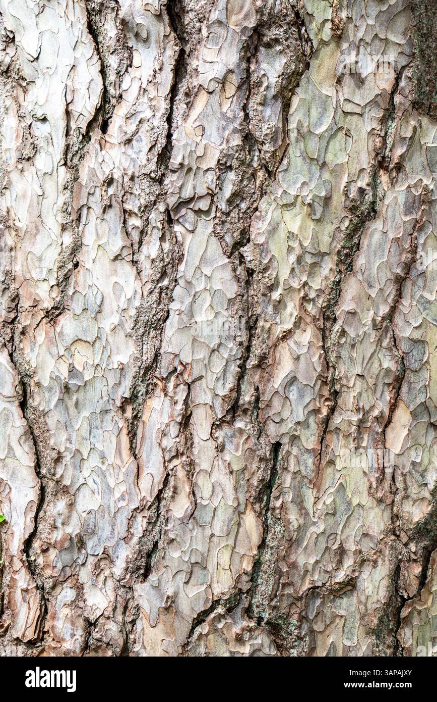 Abstract backgrounds textures hi-res stock photography and images - Alamy